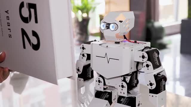 Обзор набора «Сережа»