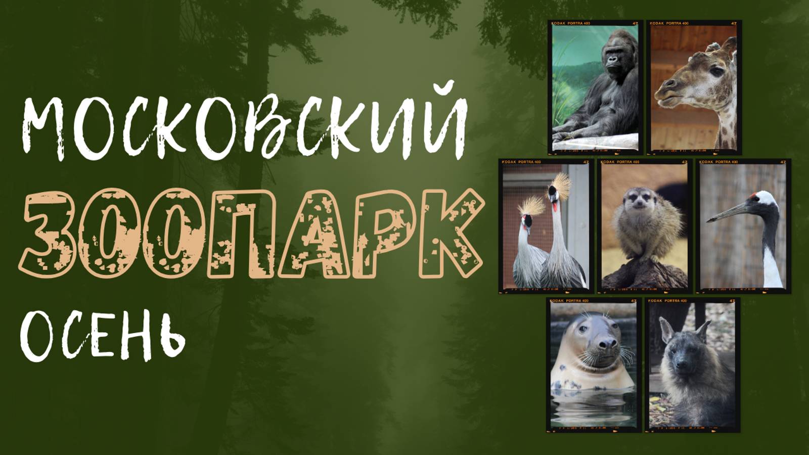 Московский зоопарк осенью