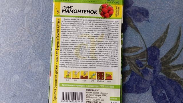 Самый лучший томат 🍅2024г