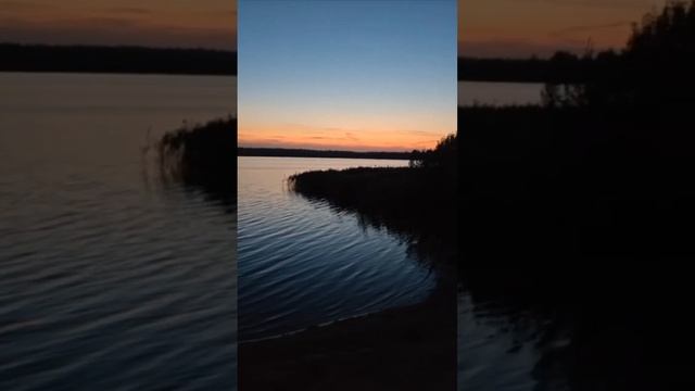 Родные края. Ирина Лазарева.  #авторскаяпесня #топ #russianfolkmusic #лето  #музыка