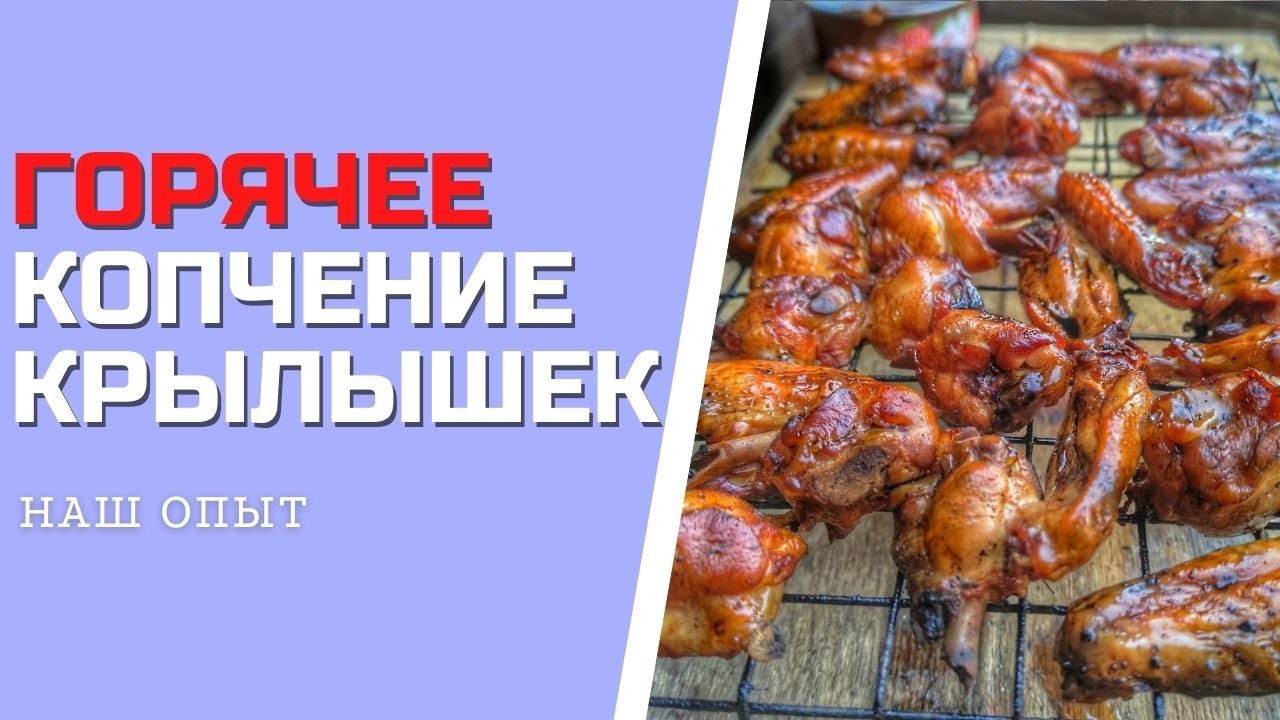 ГОРЯЧЕЕ КОПЧЕНИЕ КРЫЛЫШЕК в коптильне простой рецепт