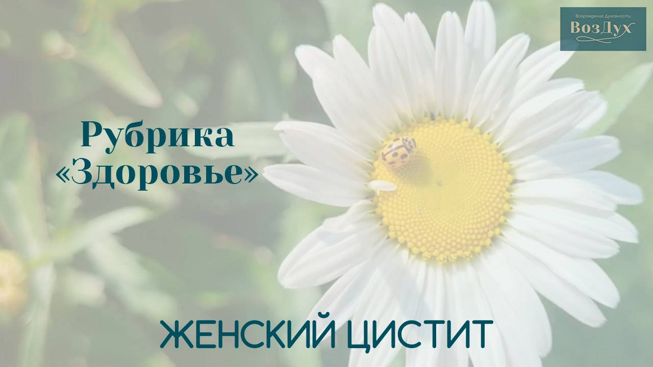 Женский цистит | Психосоматика | Самочувствие | Татьяна Бекаревич