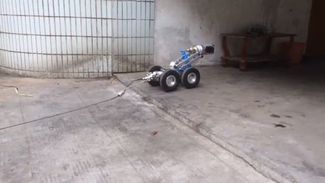 Роботизированная телеинспекционная система Rico