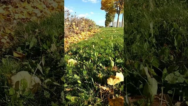 Краснодар - Около работы (обеденный перерыв) - 02 ноября 2024 г.