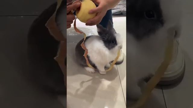 Безотходное производство