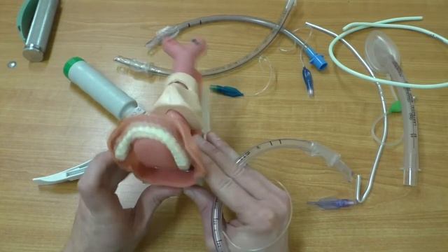3 интубация манекен 1