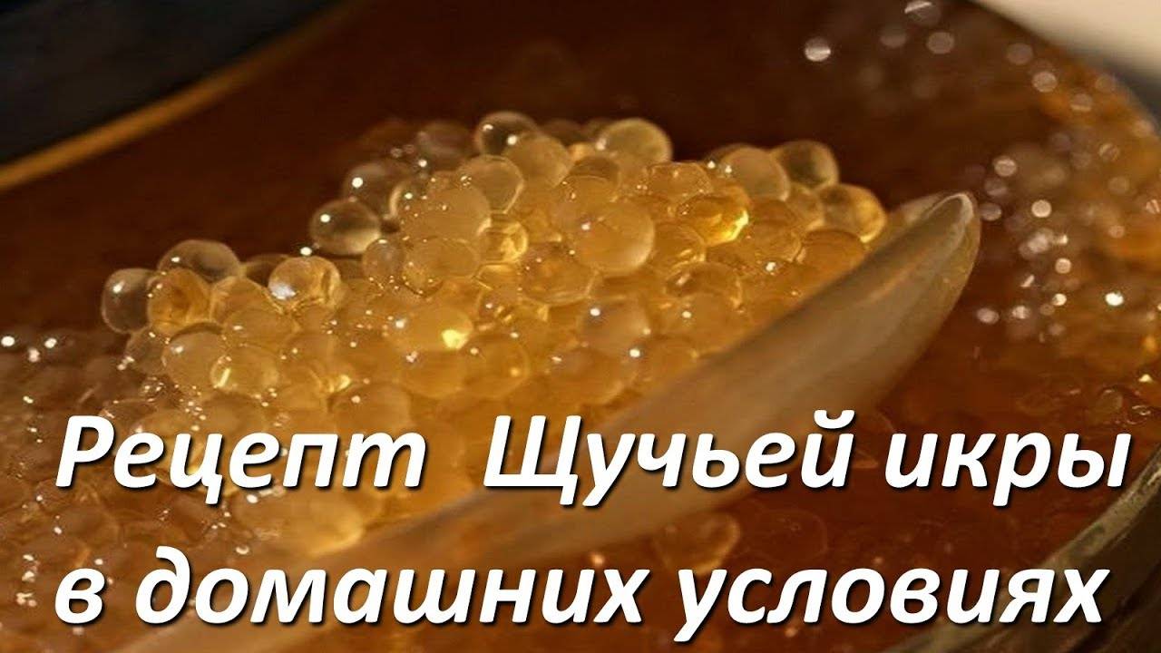 Видео Простой Рецепт Засолки Щучьей Икры Как Приготовить В Домашних Условиях