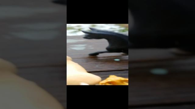 Сериал предсказание 1сезон 11серия