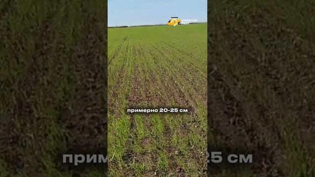 Trimble отдыхает #трактор #тракторист #посевная #сельскоехозяйство