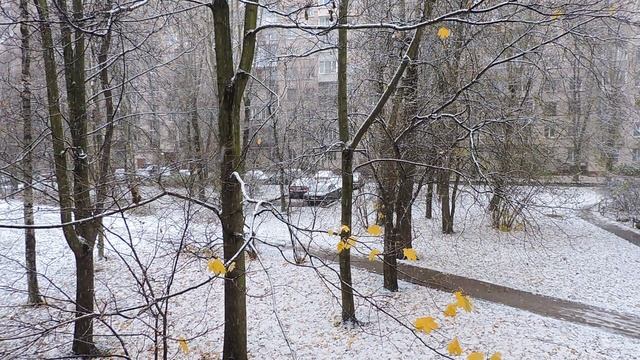 2024-11 вид из окна, первый снег.