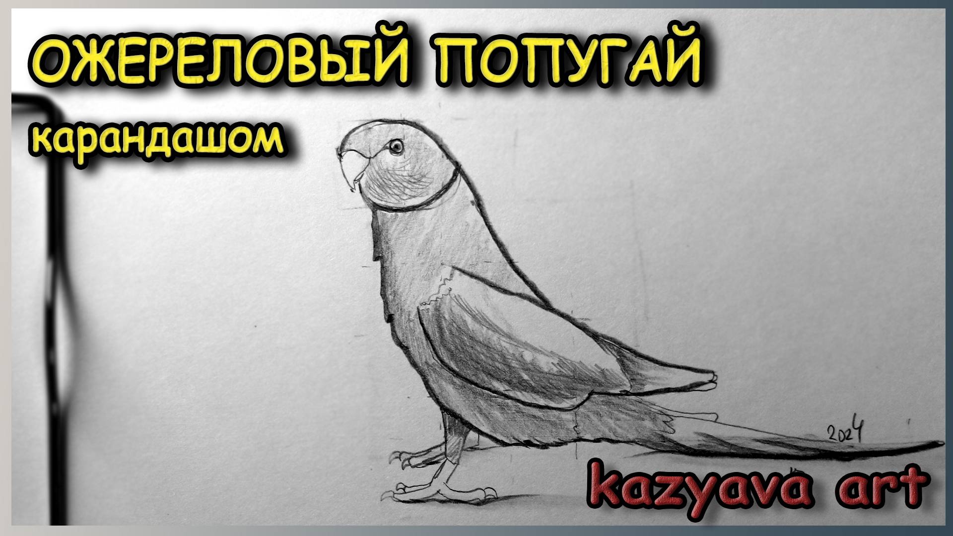 Как нарисовать ОЖЕРЕЛОВОГО ПОПУГАЯ карандашом. Поэтапно