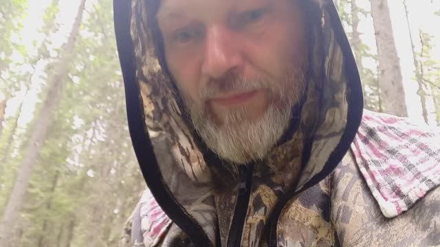 черника, кислица 2024.08.05