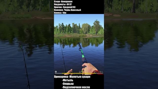 Трофей 2 плотва обыкновенная  🐟🐟🐟 Русская Рыбалка 4 #shorts #русскаярыбалка4