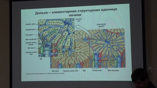 Манских В. Н. - Патология экспериментальных животных - 1. Что такое патология?