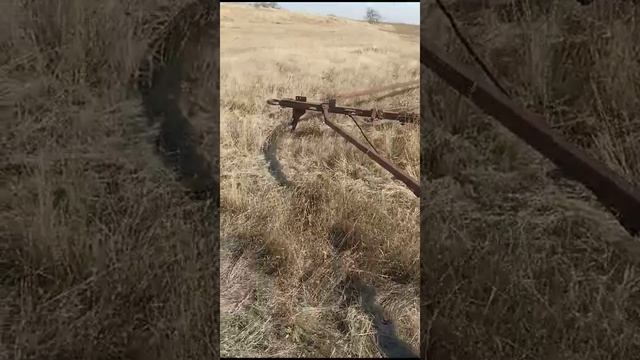 Сцепка борон  экспресс-обзор от Константина Велигодского