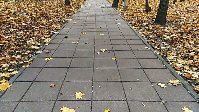 Бесприданница (из старого архива) мобильная съёмка.