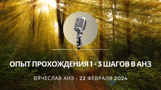 Мой опыт прохождения 1 3 Шагов в АНЗ  Вячеслав 22.02. 2024