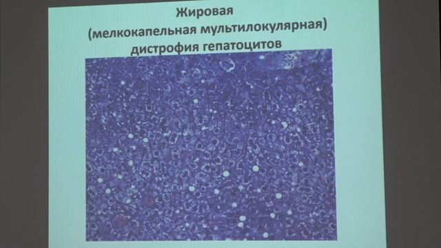 Манских В. Н. - Патология экспериментальных животных - 2. Альтерация (дистрофии)