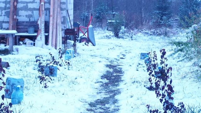 Прекрасное начало зимы в г.Ярославль