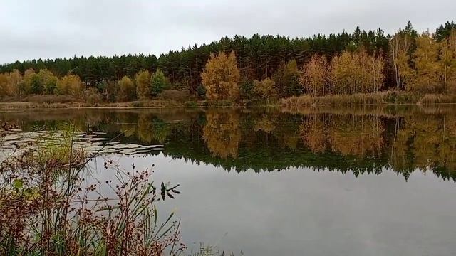 У Тебя Есть Я