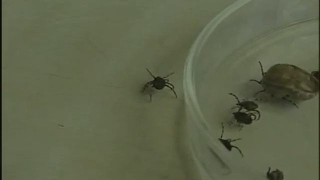 Выпуск новостей "Наше время. Астрахань", 15.08.2006