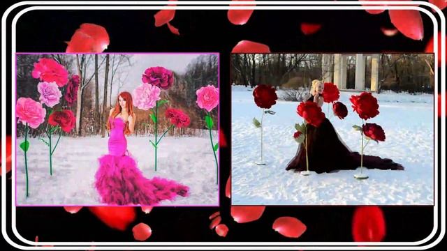 Снег на розах