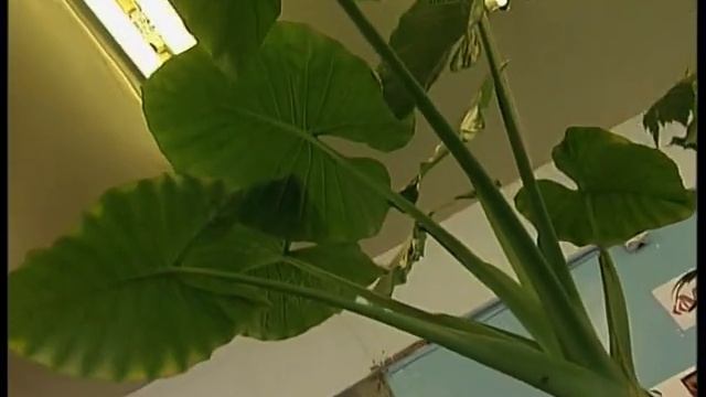 Выпуск новостей "Наше время. Астрахань", 19.01.2005