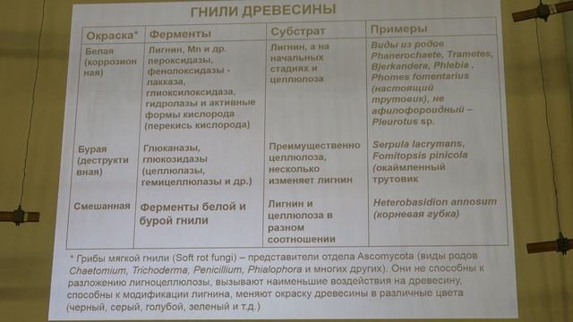 Кураков А. В. - Низшие растения. Микология - 6. Подотдел Agaricomycotina