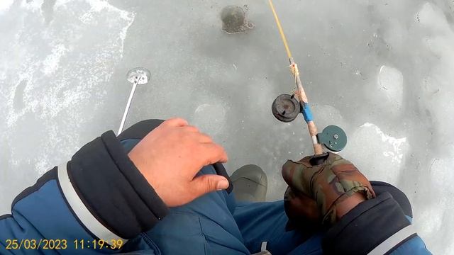 Ряжик - незабываемая зимняя рыбалка по последнему льду 25 03 2023