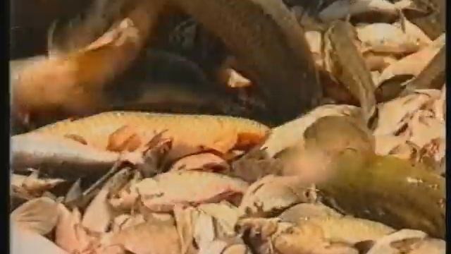 Выпуск новостей "Наше время. Астрахань", 13.10.2005