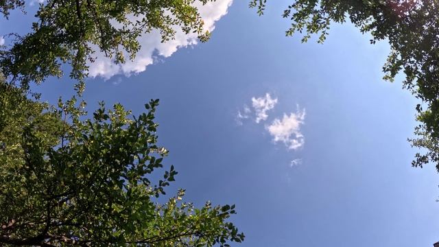 Летний таймлапс с глитч-эффектом