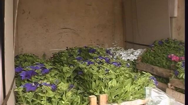 Выпуск новостей "Наше время. Астрахань", 28.04.2006