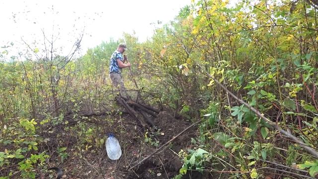 Охота на барсука с Ягдтерьером