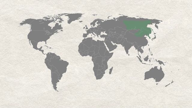 Сахалинская кабарга