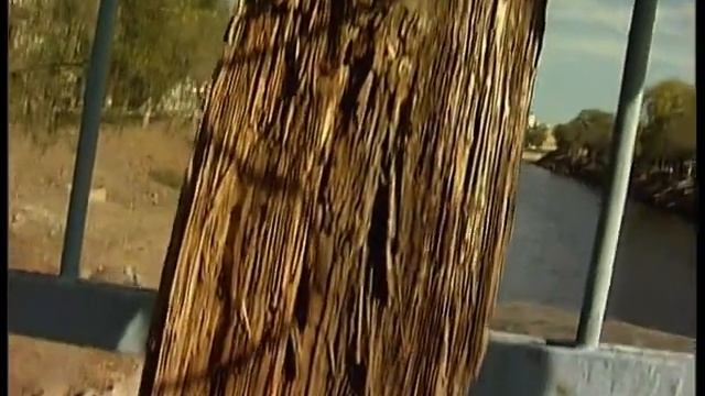 Выпуск новостей "Наше время. Астрахань", 30.10.2007