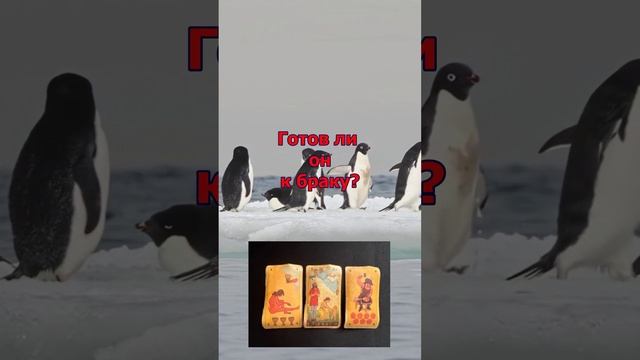 Ответ на вопрос.