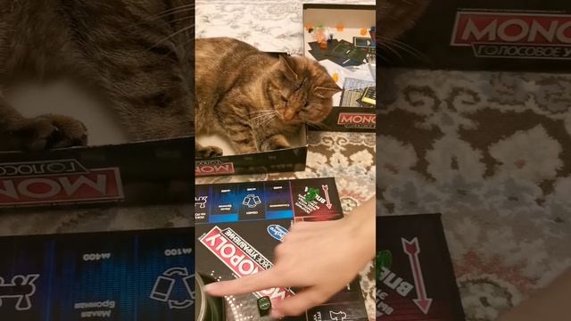 2024г. Слива. Играем в монополию