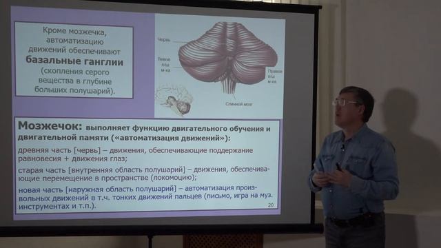 Дубынин В. А. - Физиология потребностей - 1. Физиология потребностей