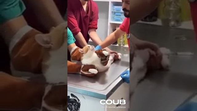 Выкрутиться не выйдет