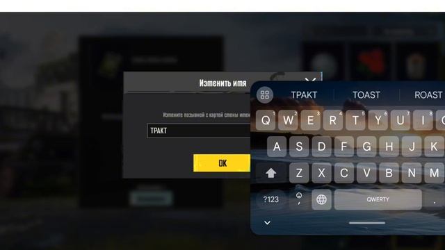 как изменить имя в PUBG