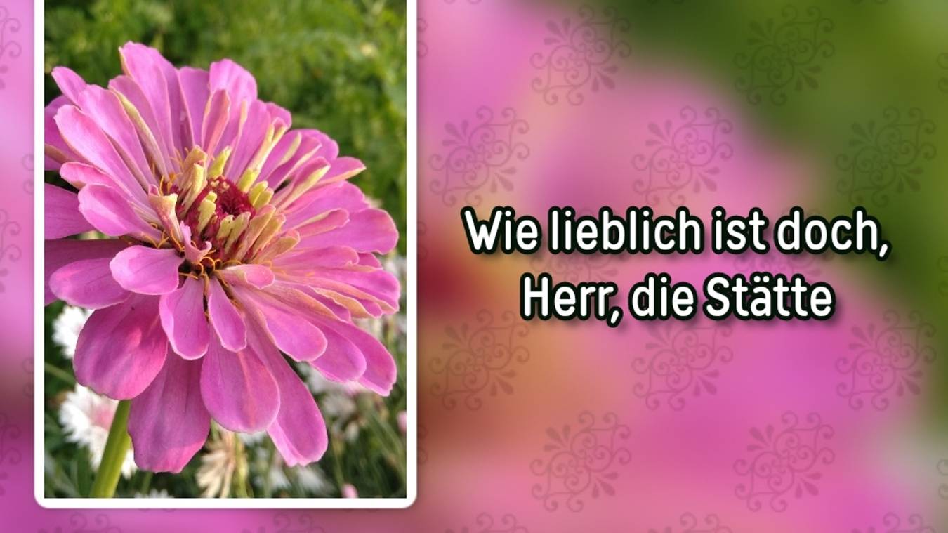 Wie lieblich ist doch, Herr, die Stätte (-)