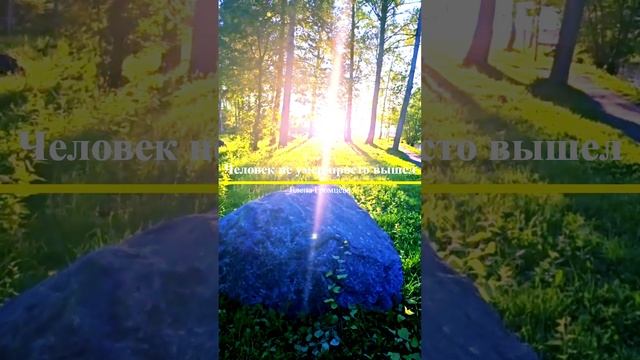 Человек не умер, просто вышел... Елена Громцева.