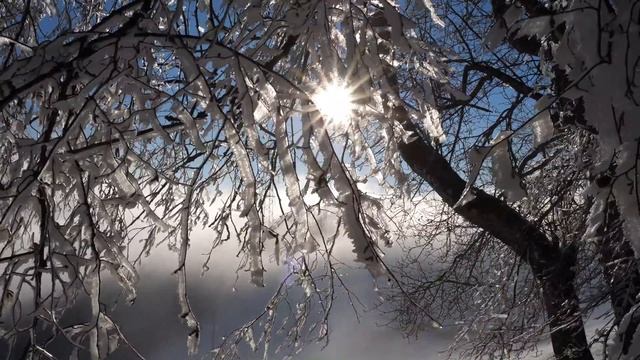 Ave Maria. Bach-Guno. Премьера клипа, 2022. Сергей Литвяков, Марк Генкин, Александр Шантин.