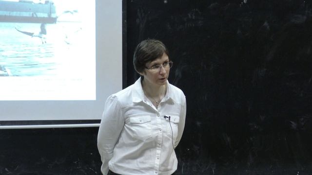 Замятина Н. Ю. - Регионы и города Арктики: специфика социально-экономического развития - Лекция 13