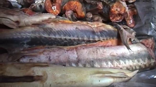 Выпуск новостей "Наше время. Астрахань", 01.12.2008