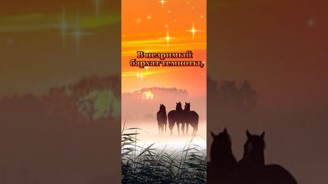 Радостных рассветов, чарующих закатов, солнечных дней и звёздных ночей!❤️🌹