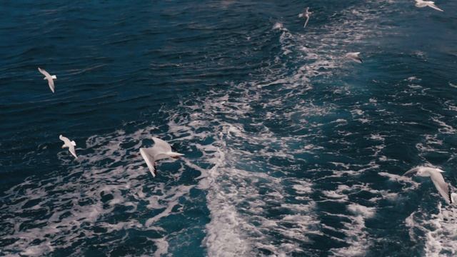 5853152-uhd_4096_2160_30fps