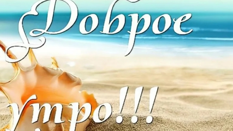 Утро в професорском уголке