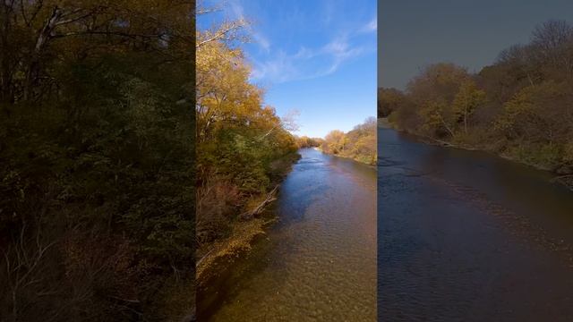 Съемка природы FPV квадрокоптером - GoPro 12