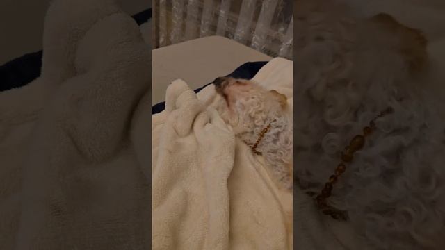 Пошли все к...